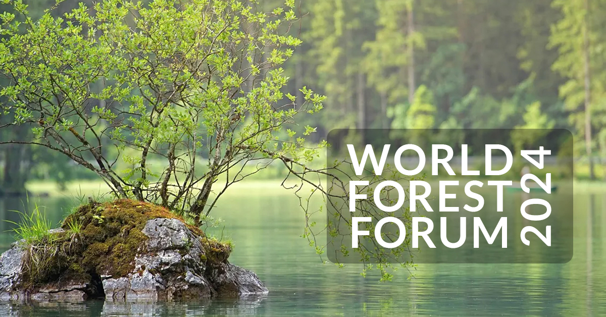 Digitalt: World Forest Forum 30 maj 2024 - World Forest Forum